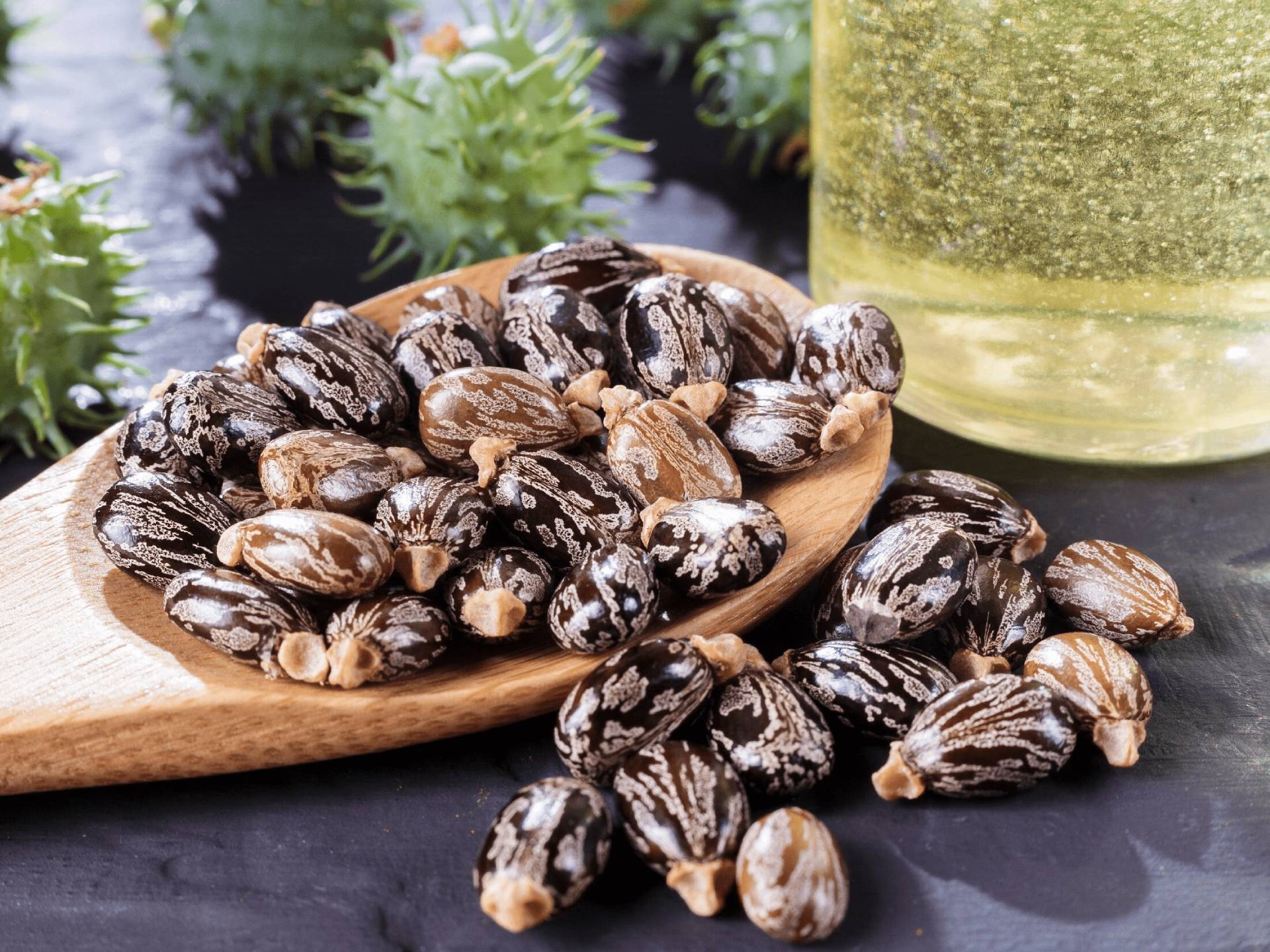 A new Advanced Bio-Circular medical polymer for medical - Modern ...